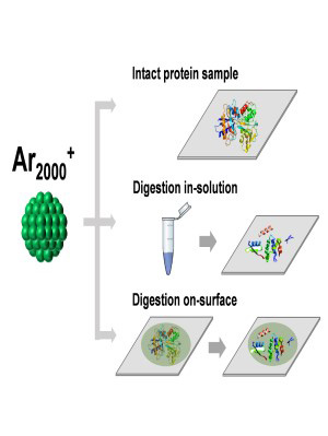 Special Topic Collection on Secondary Ion Mass Spectrometry (SIMS ...