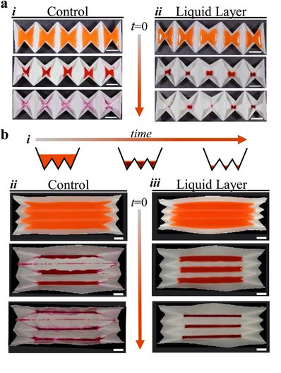 Special Topic Collection on Early Career Investigators | AVS: Science ...