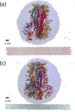 Special Topic Collection: Molecular Scale Modeling of Biological ...