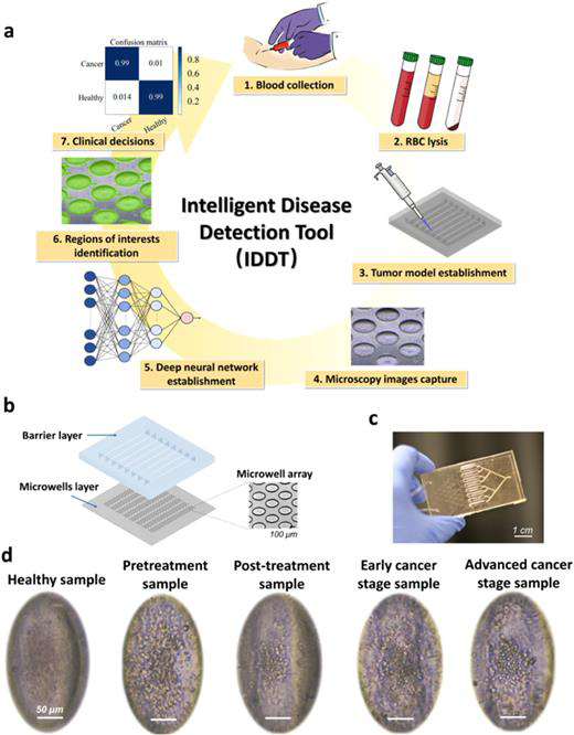 Microfluidics and Nanofluidics for Immunotherapy | AIP Publishing