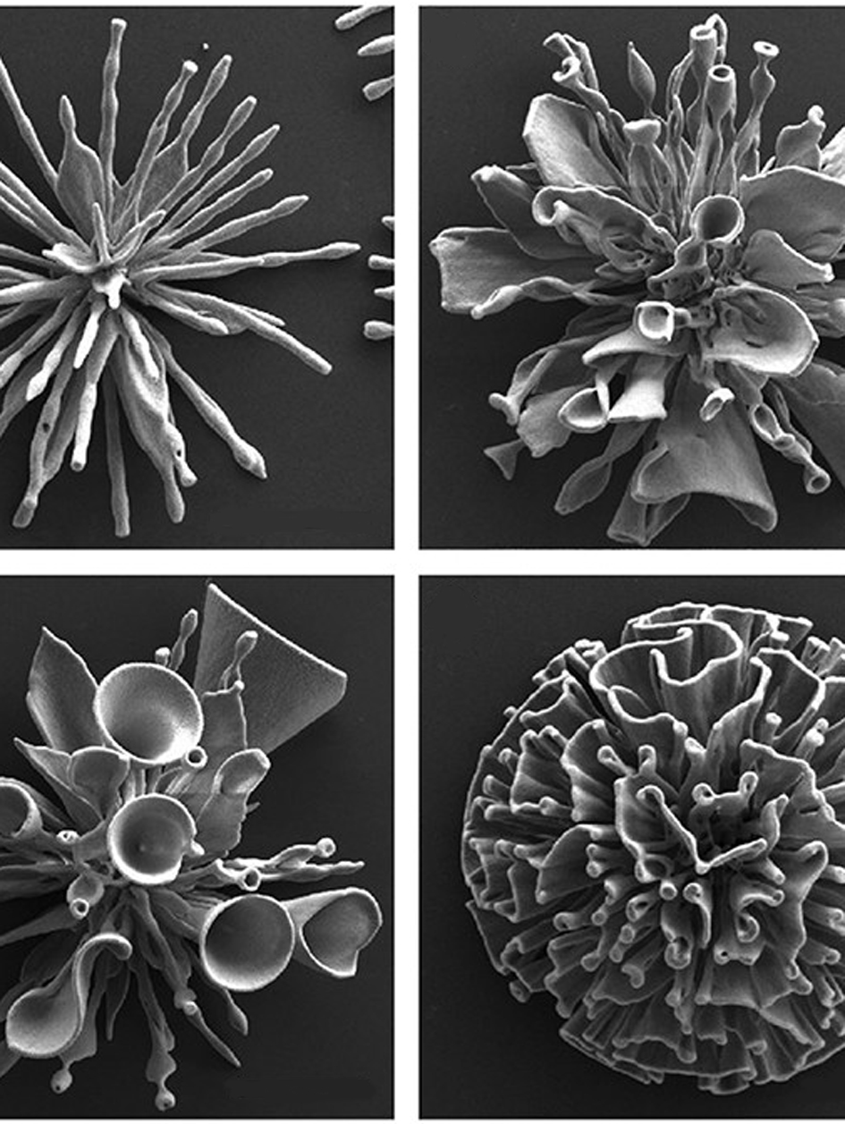 Nonlinear Chemical Dynamics and Its Interdisciplinary Impact: Dedicated ...
