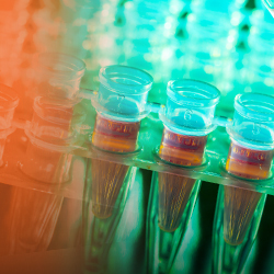 Collections | Journal of Applied Physics | AIP Publishing