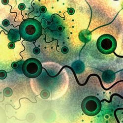 Polymer-Grafted Nanoparticles | AIP Publishing