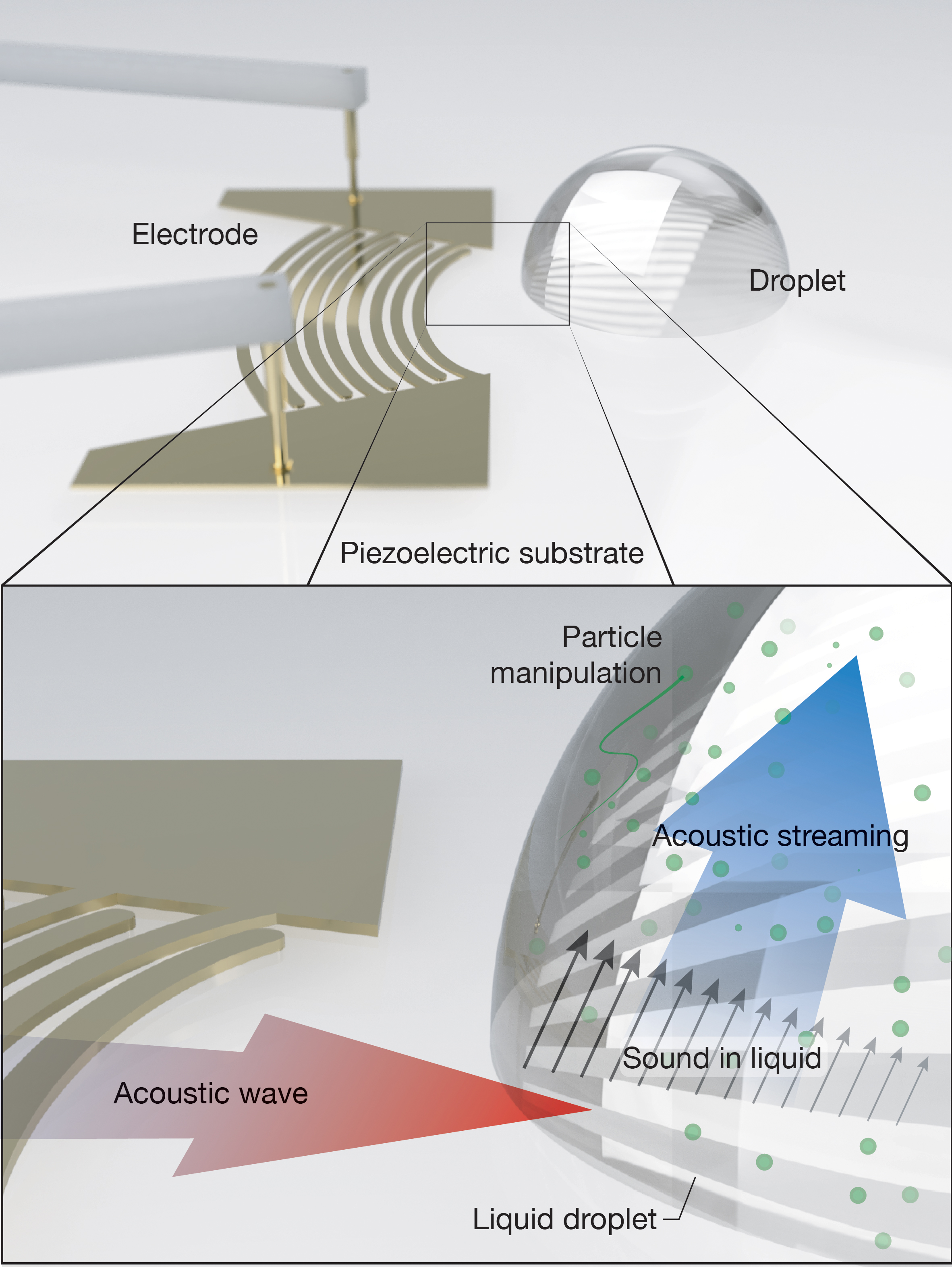 Theory and Applications of Acoustofluidics | AIP Publishing
