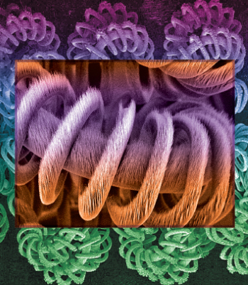Functional Coatings | AIP Publishing