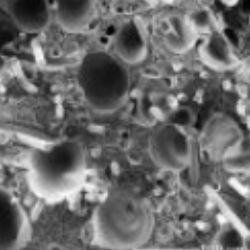 Celebration of Robert Byron Bird (1924-2020) | AIP Publishing