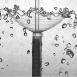 Collections | Physics of Fluids | AIP Publishing