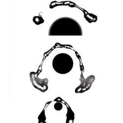 Collections | Physics of Fluids | AIP Publishing