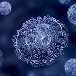 Flow and Lipid Nanoparticles | AIP Publishing